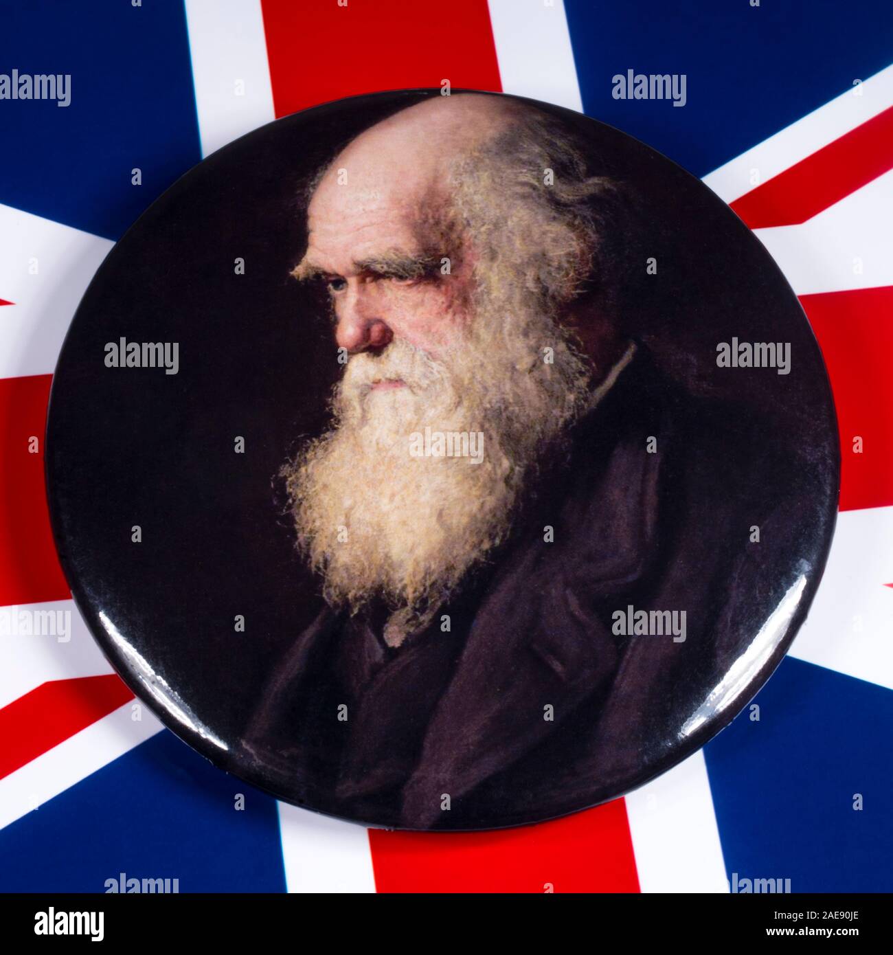 London, UK - December 3rd 2019: A pin badge with a portrait of Charles ...