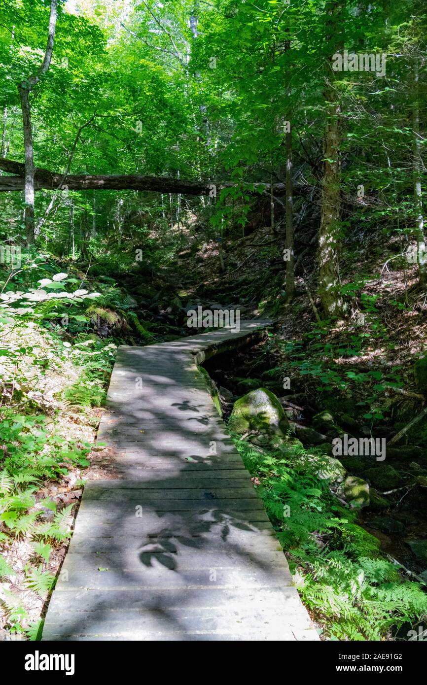 Wooden walkway along Bat Lake Trail Stock Photo - Alamy