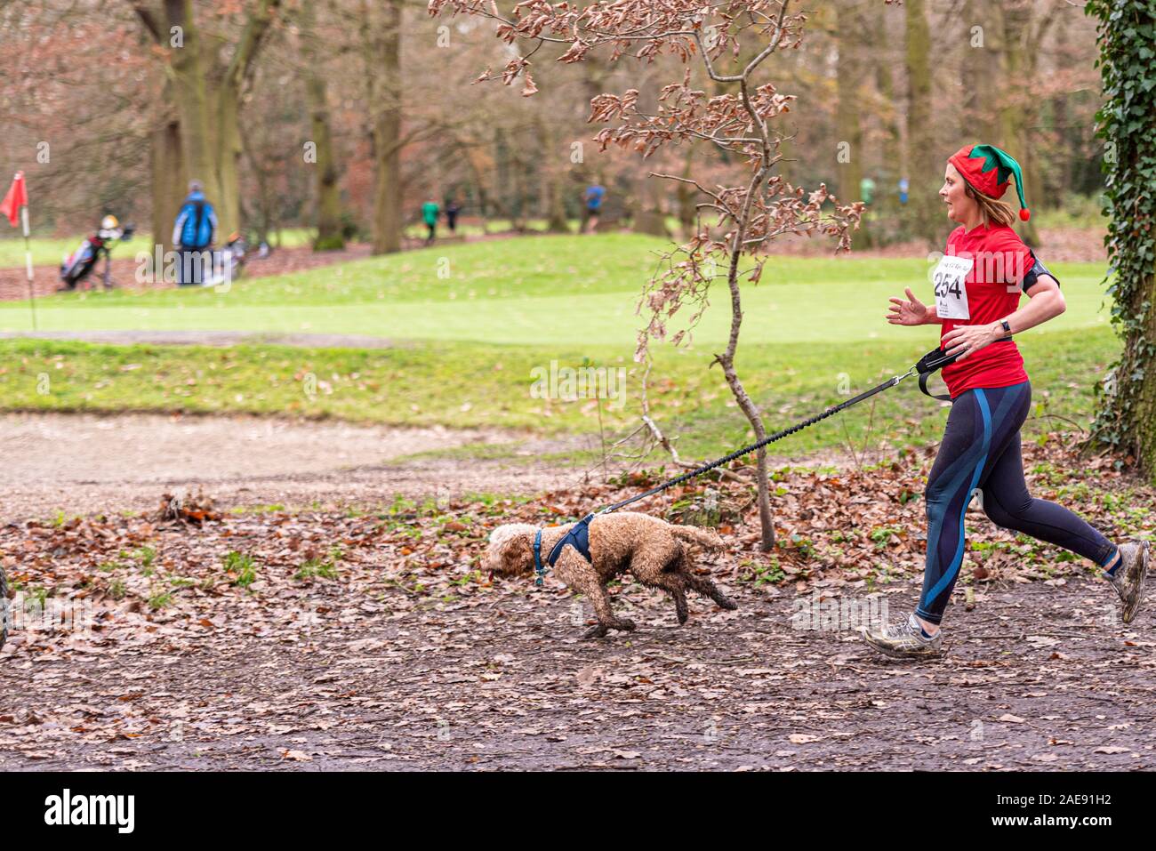 Mental Elf Run charity fun run for South East and Central Essex Mind ...