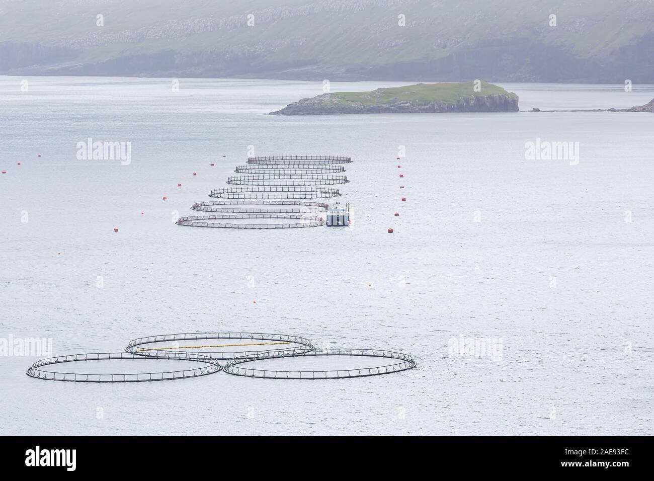 Aquaculture cage fish farming net hi-res stock photography and images ...