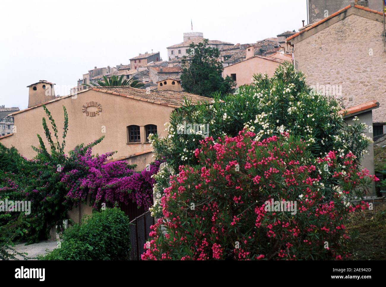 Grasse france flowers hi-res stock photography and images - Alamy