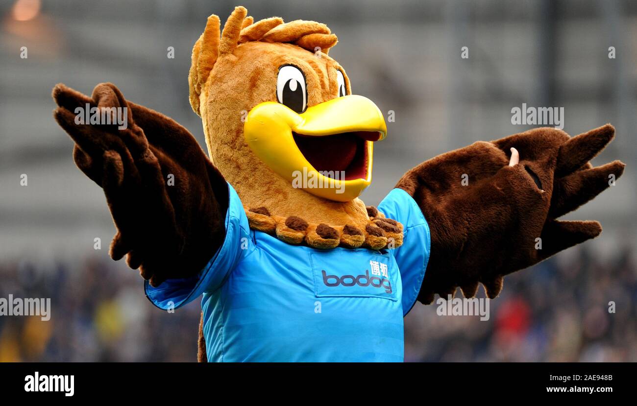 West bromwich albion mascot hi-res stock photography and images - Alamy
