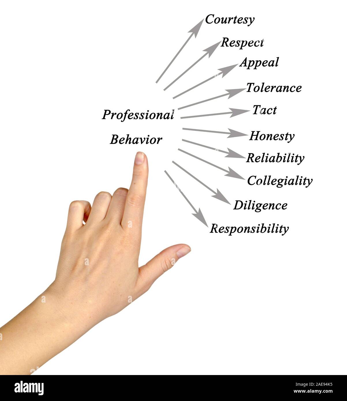 Diagram of Professional Behavior Stock Photo - Alamy