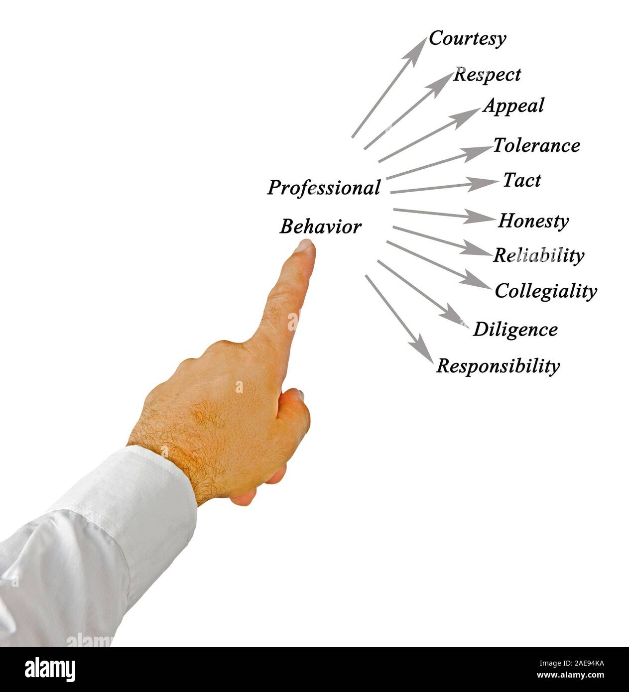 Diagram of Professional Behavior Stock Photo - Alamy