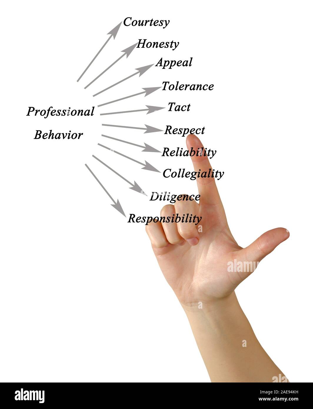 Diagram of Professional Behavior Stock Photo - Alamy