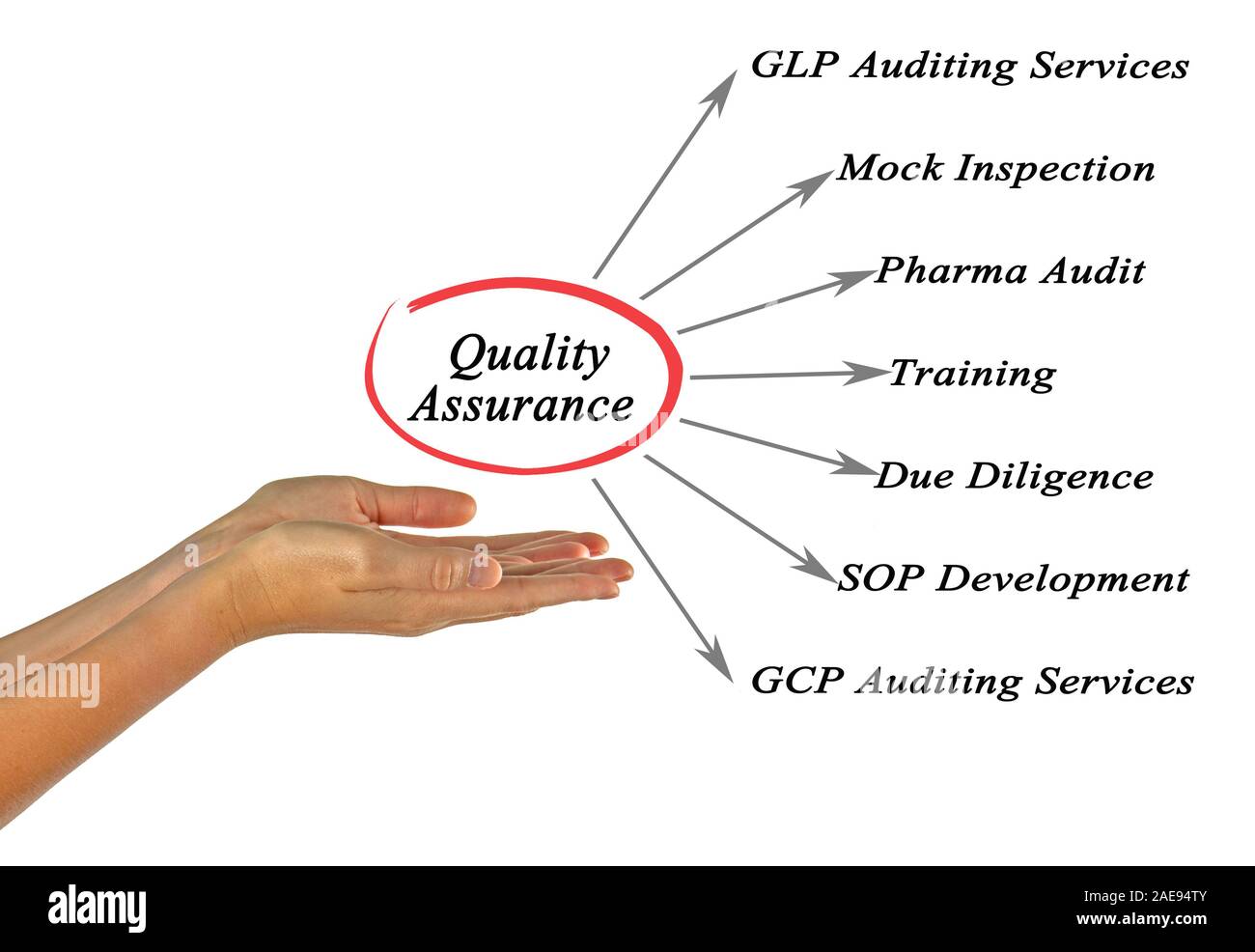 Diagram of Quality Assurance Stock Photo - Alamy