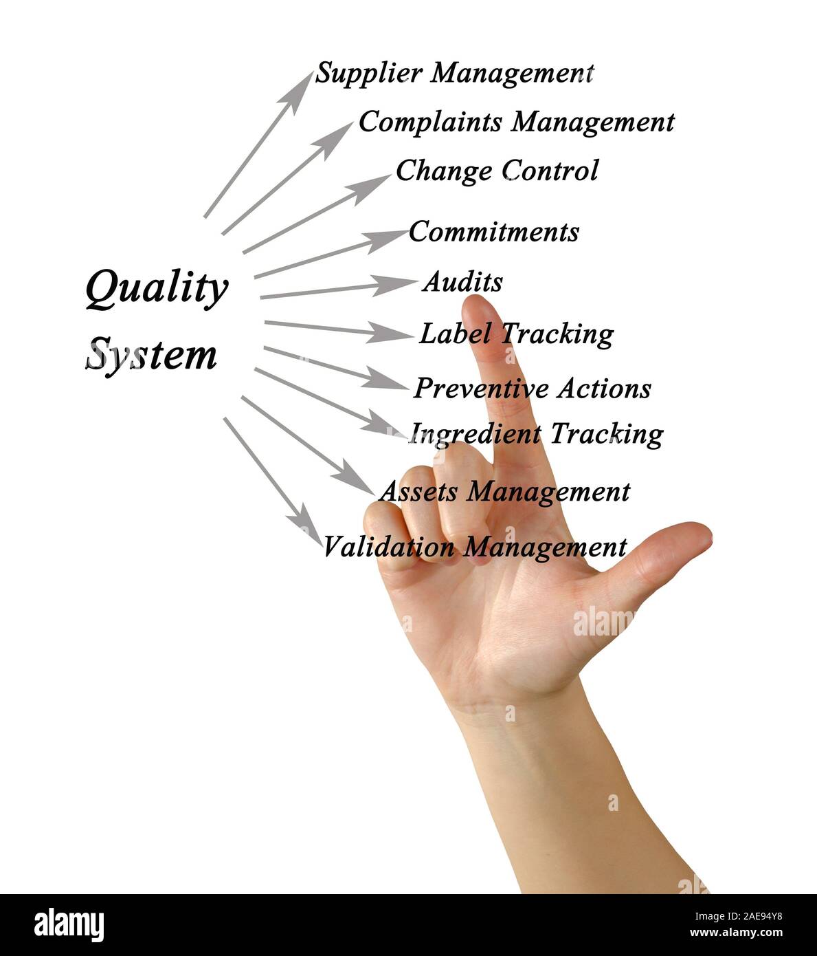 Diagram of Quality System Stock Photo - Alamy