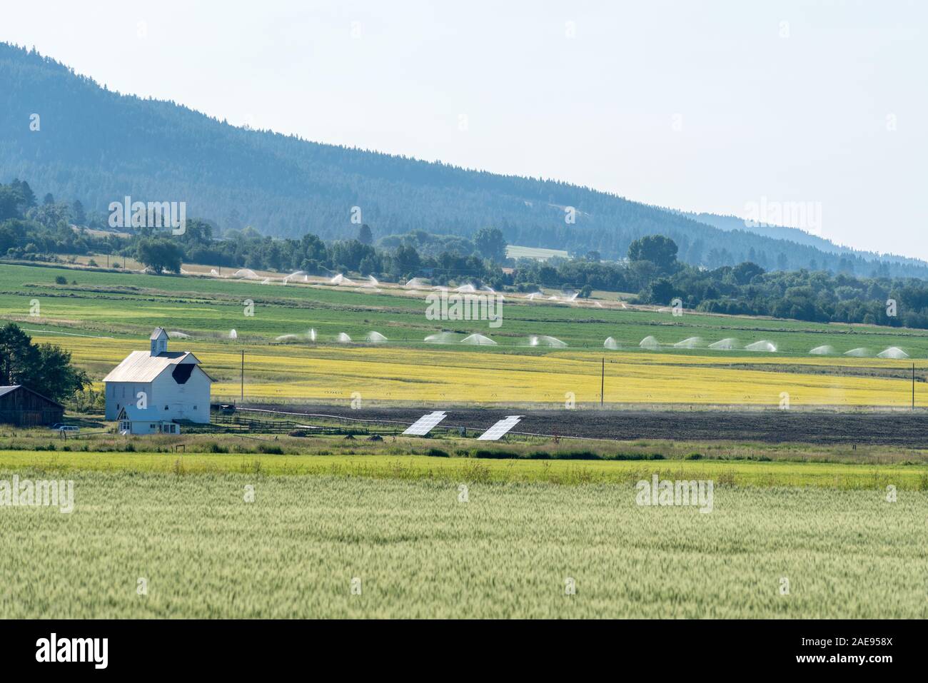 Farms in Oregon's Wallowa Valley Stock Photo - Alamy