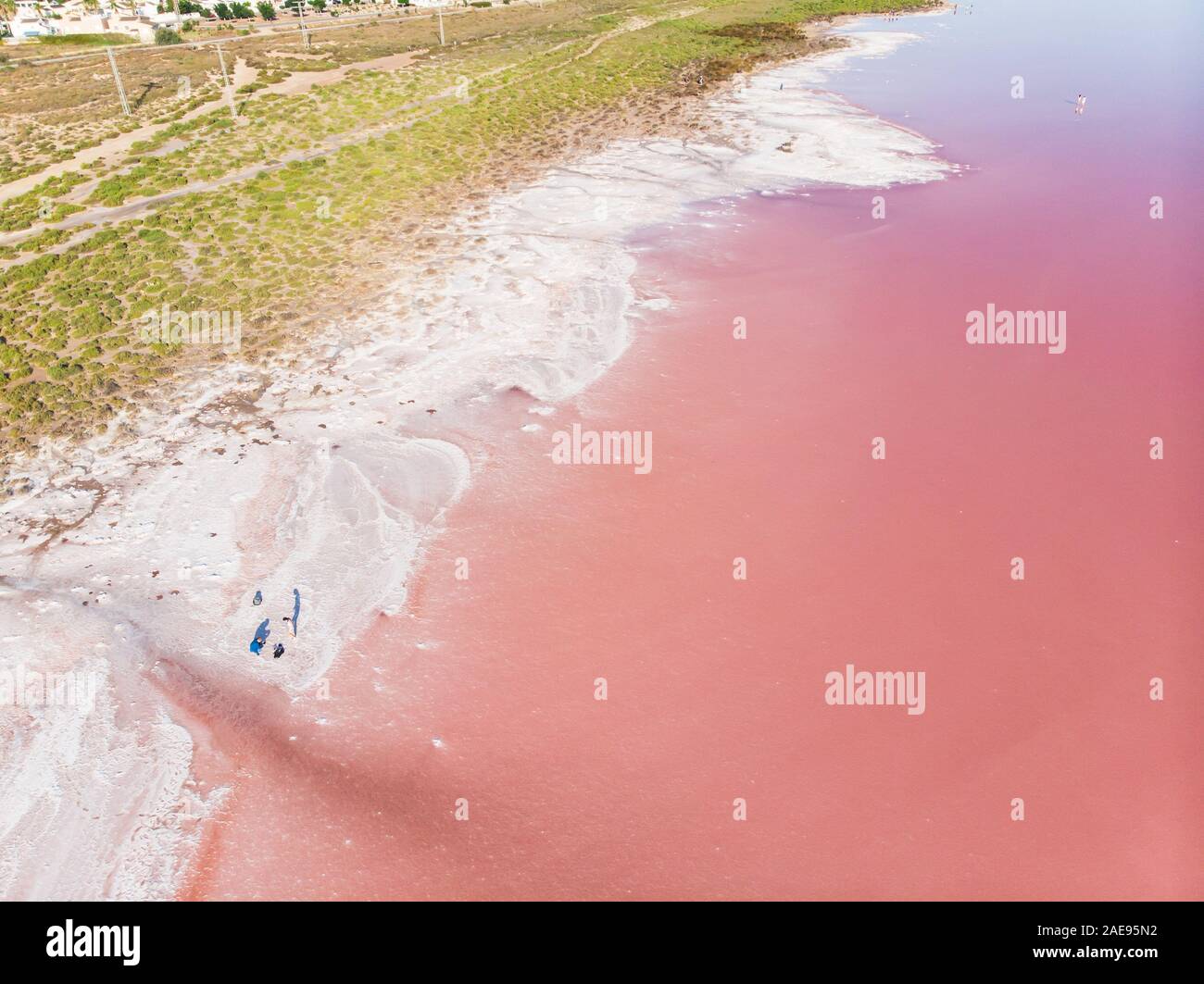 Torrevieja nature reserve hi-res stock photography and images - Alamy