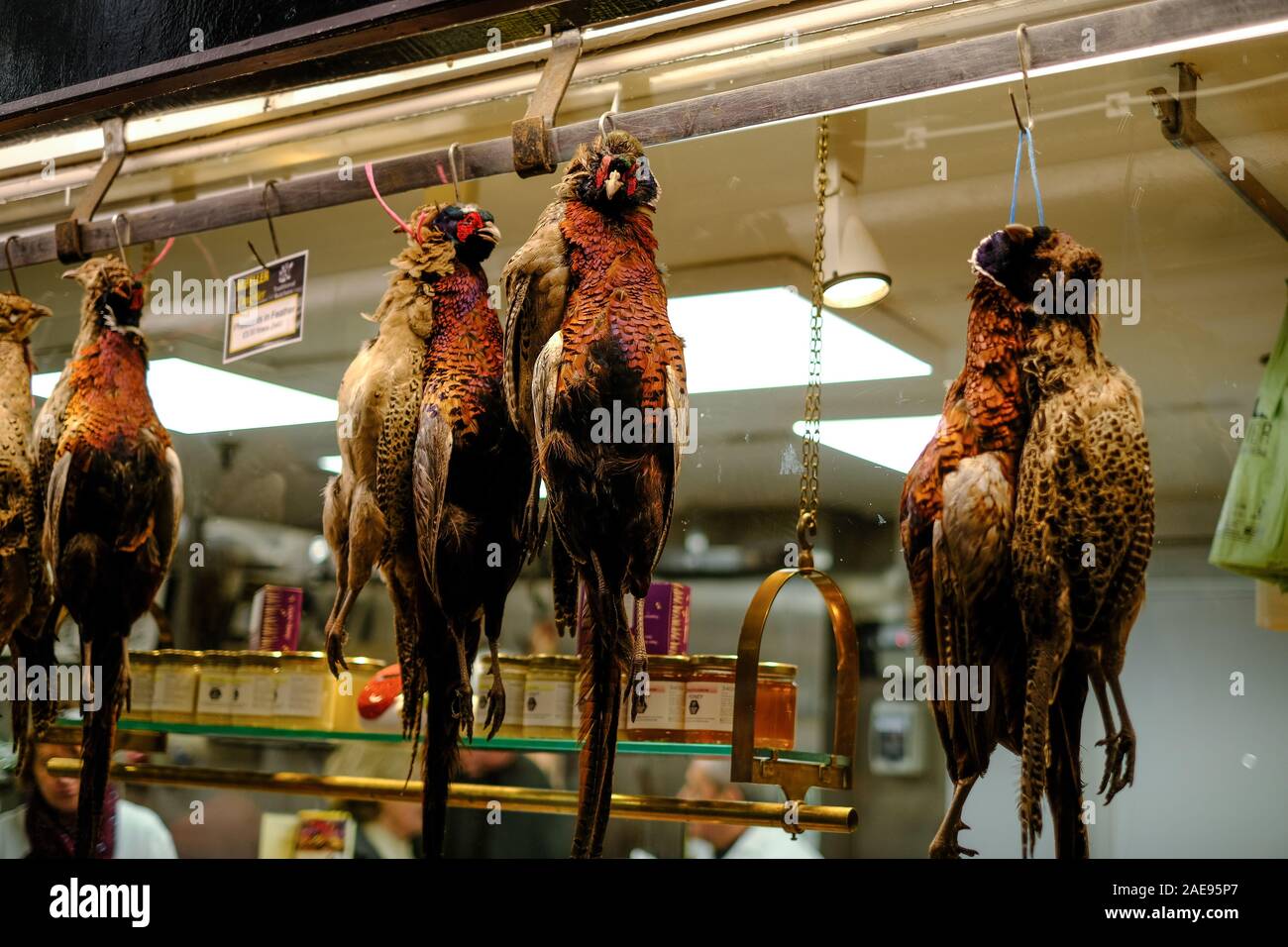 Hanging pheasants game birds hi-res stock photography and images - Alamy