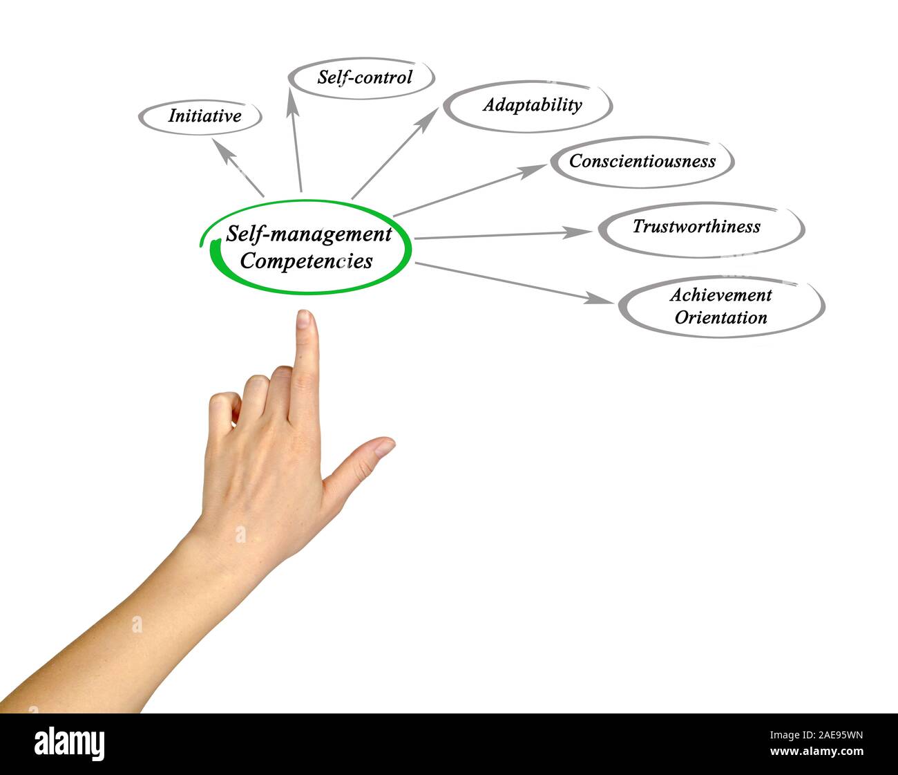 Competencies hi-res stock photography and images - Alamy