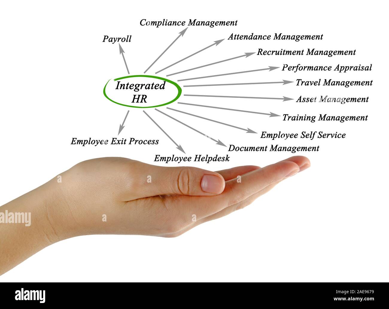 Diagram of Integrated HR Stock Photo - Alamy