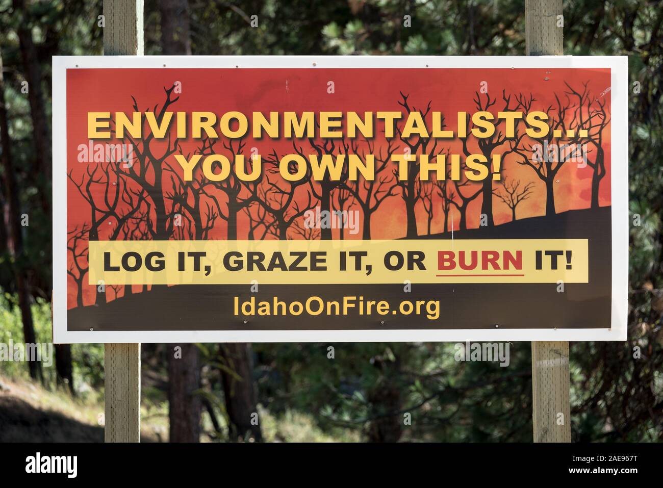 Anti logging hi-res stock photography and images - Alamy