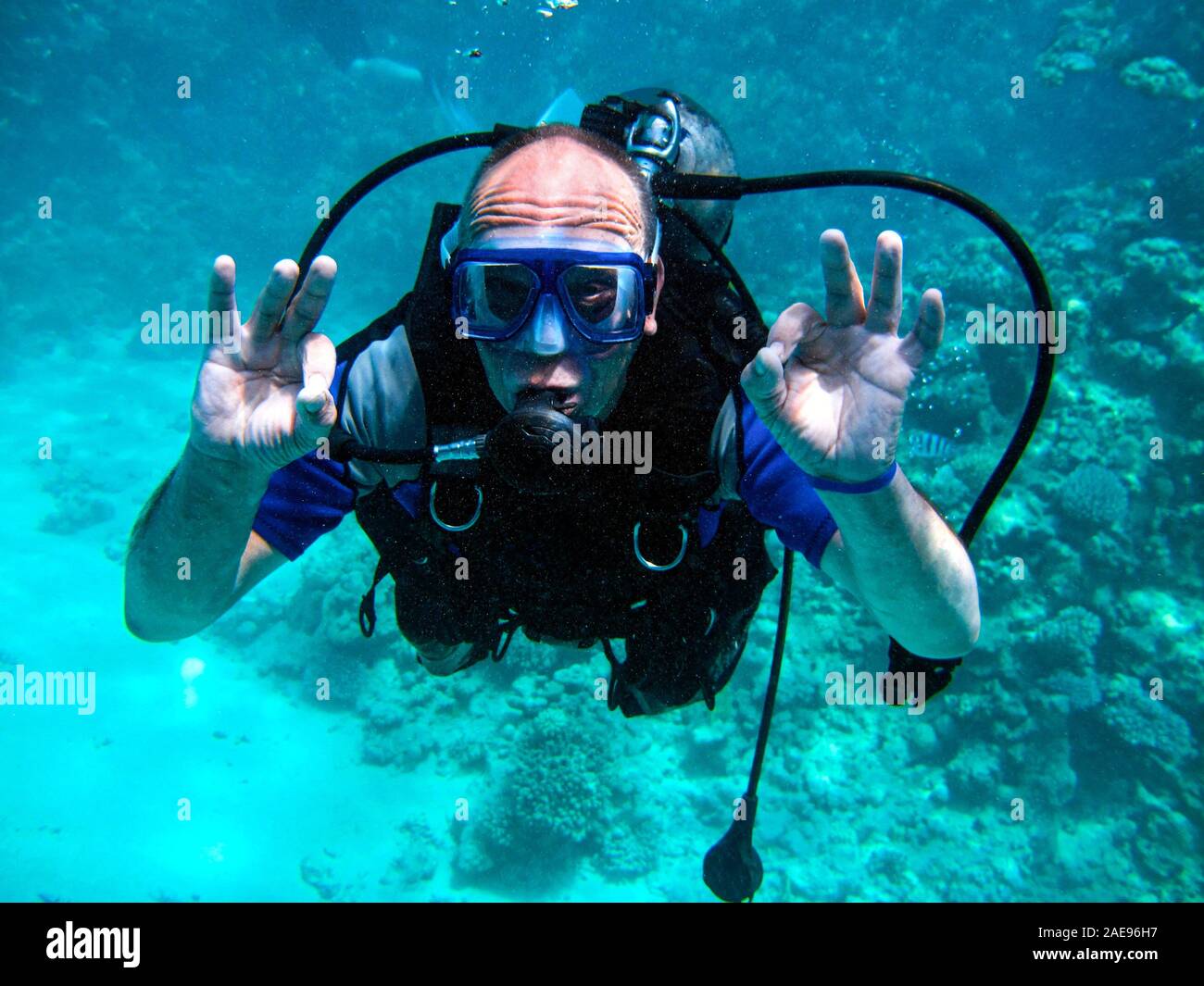 Man scuba diver and beautiful colorful coral reef underwater Stock ...