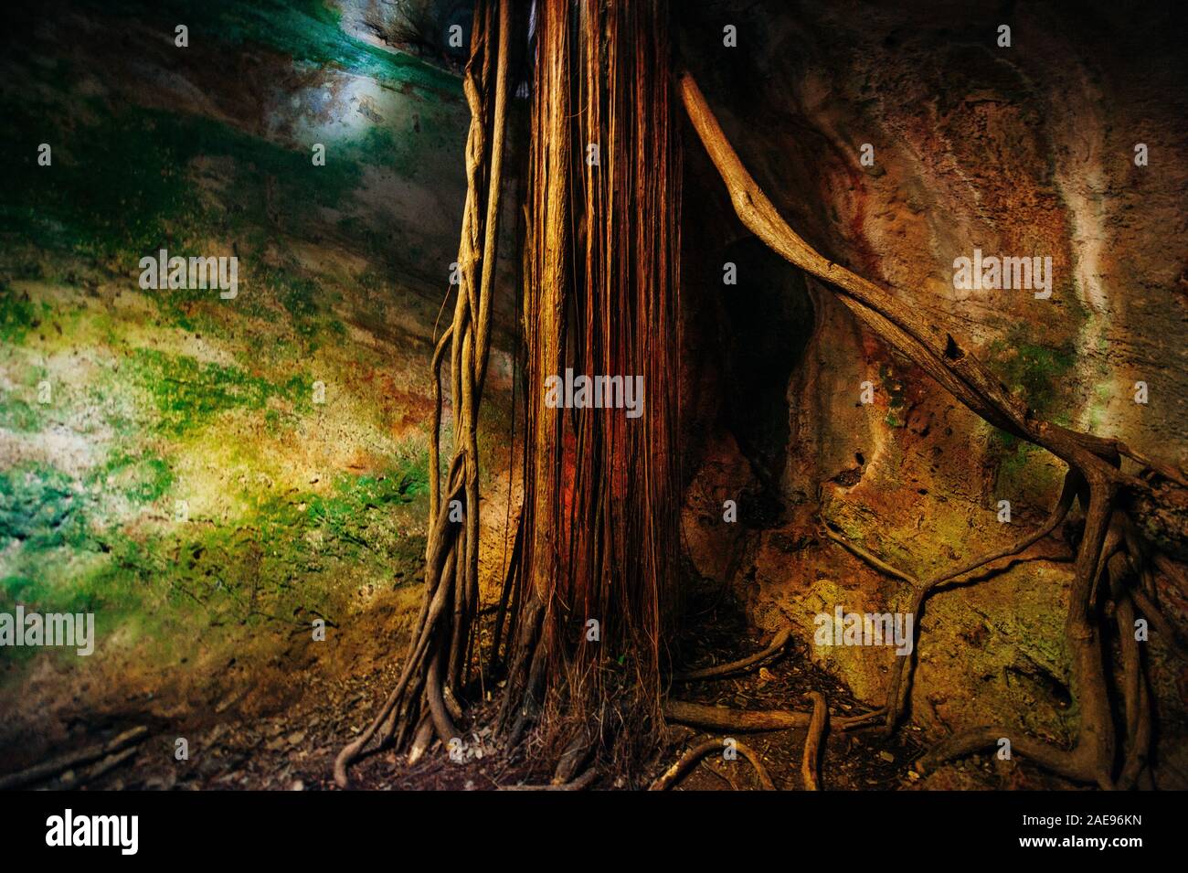 Cave ceiling texture hi-res stock photography and images - Alamy