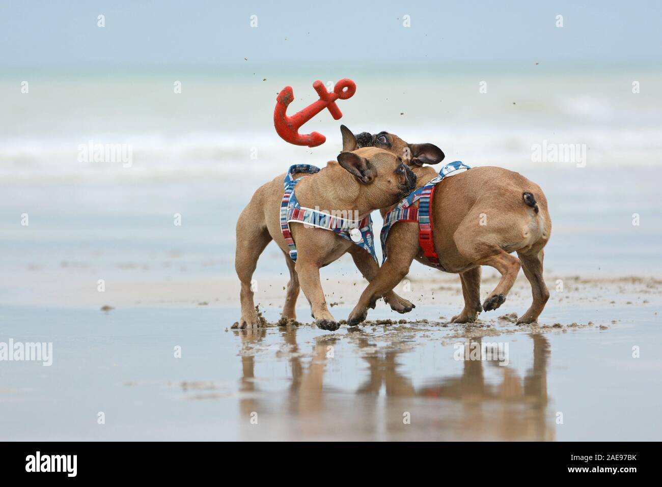 Bumping into each other hi-res stock photography and images - Alamy