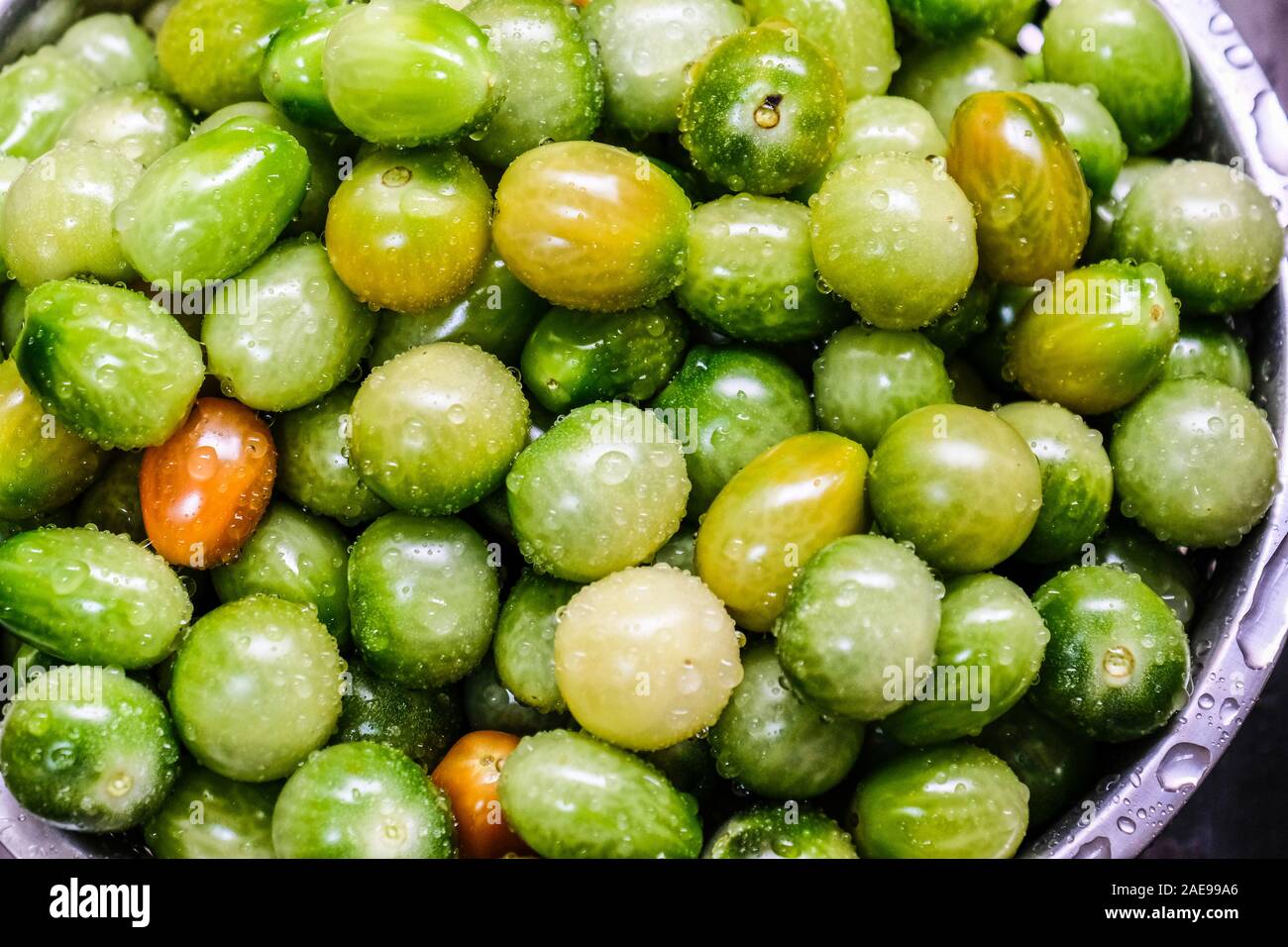 Prepare pickled green tomatoes hi-res stock photography and images - Alamy