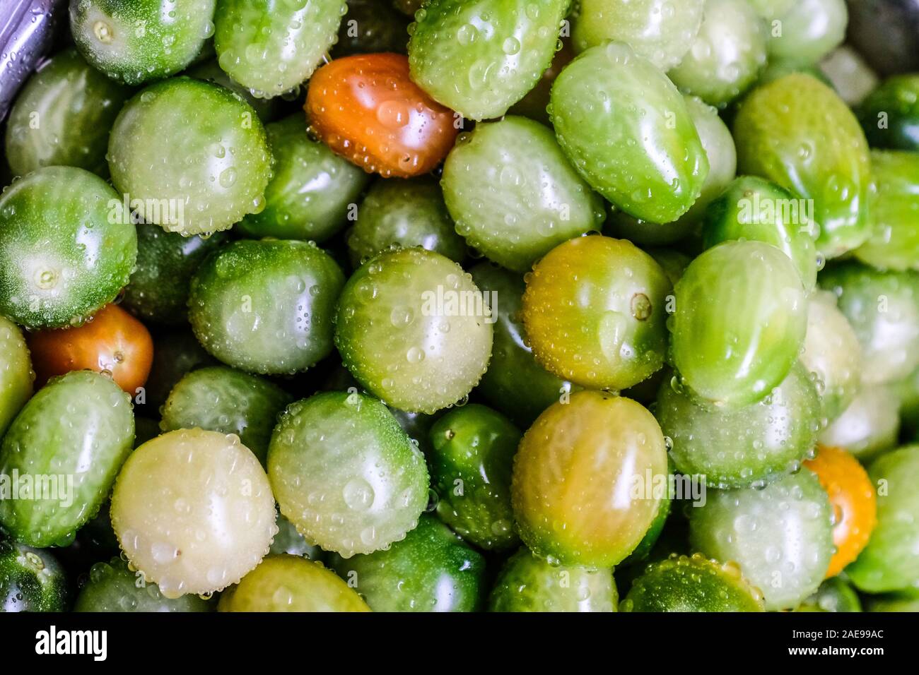 Prepare pickled green tomatoes hi-res stock photography and images - Alamy