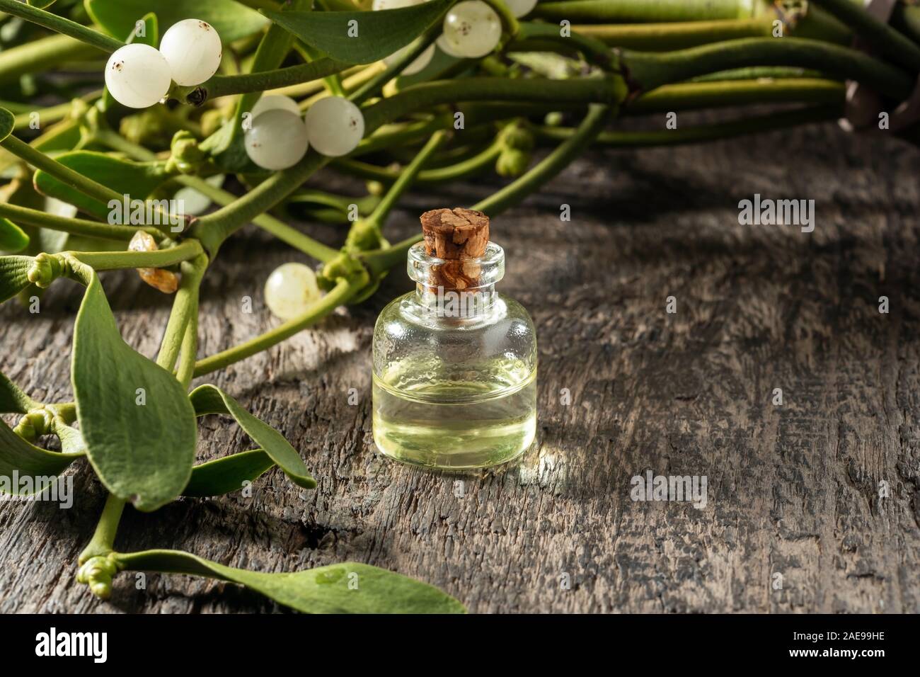 A bottle of essential oil with fresh mistletoe and copy space Stock ...