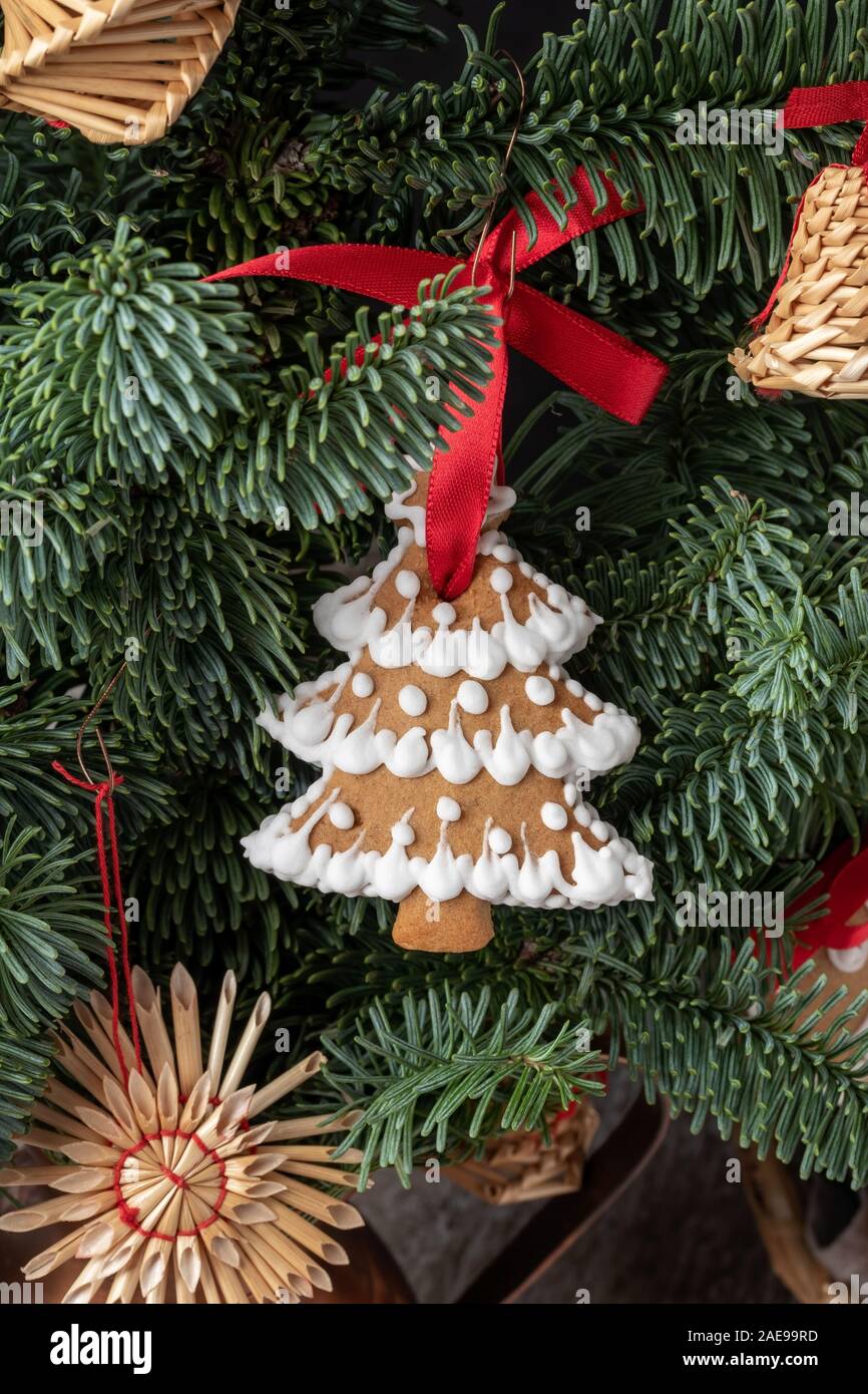 Tree shaped Christmas gingerbread cookie hanging on a fir branch Stock ...