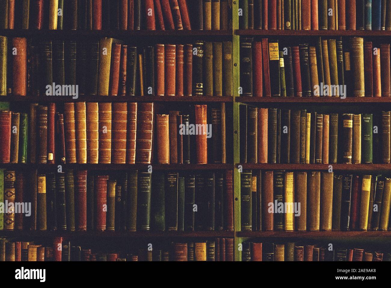 Library books hi-res stock photography and images - Alamy