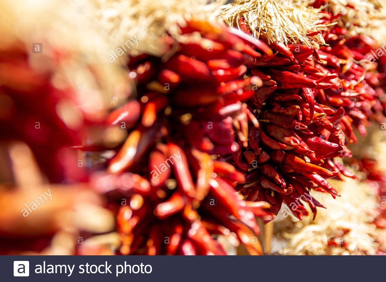 Chile Ristras Stock Photos & Chile Ristras Stock Images - Alamy
