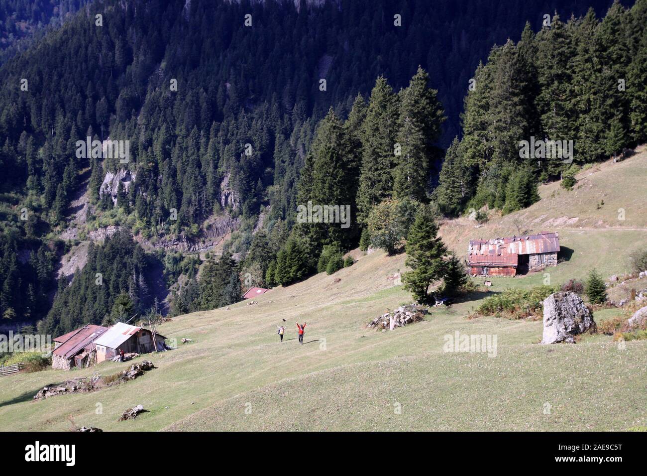 image from the plateaus of Maçka district in Trabzon province Stock ...