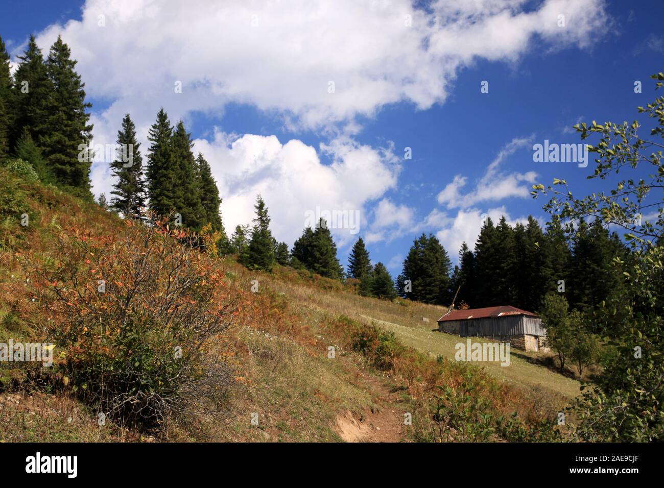 image from the plateaus of Maçka district in Trabzon province Stock ...