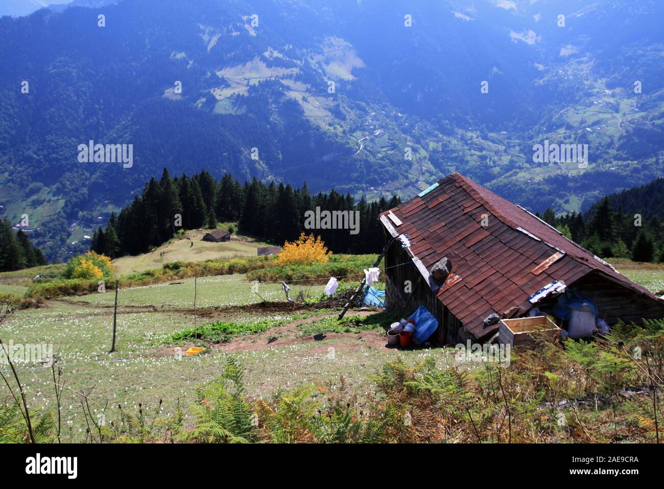 image from the plateaus of Maçka district in Trabzon province Stock ...