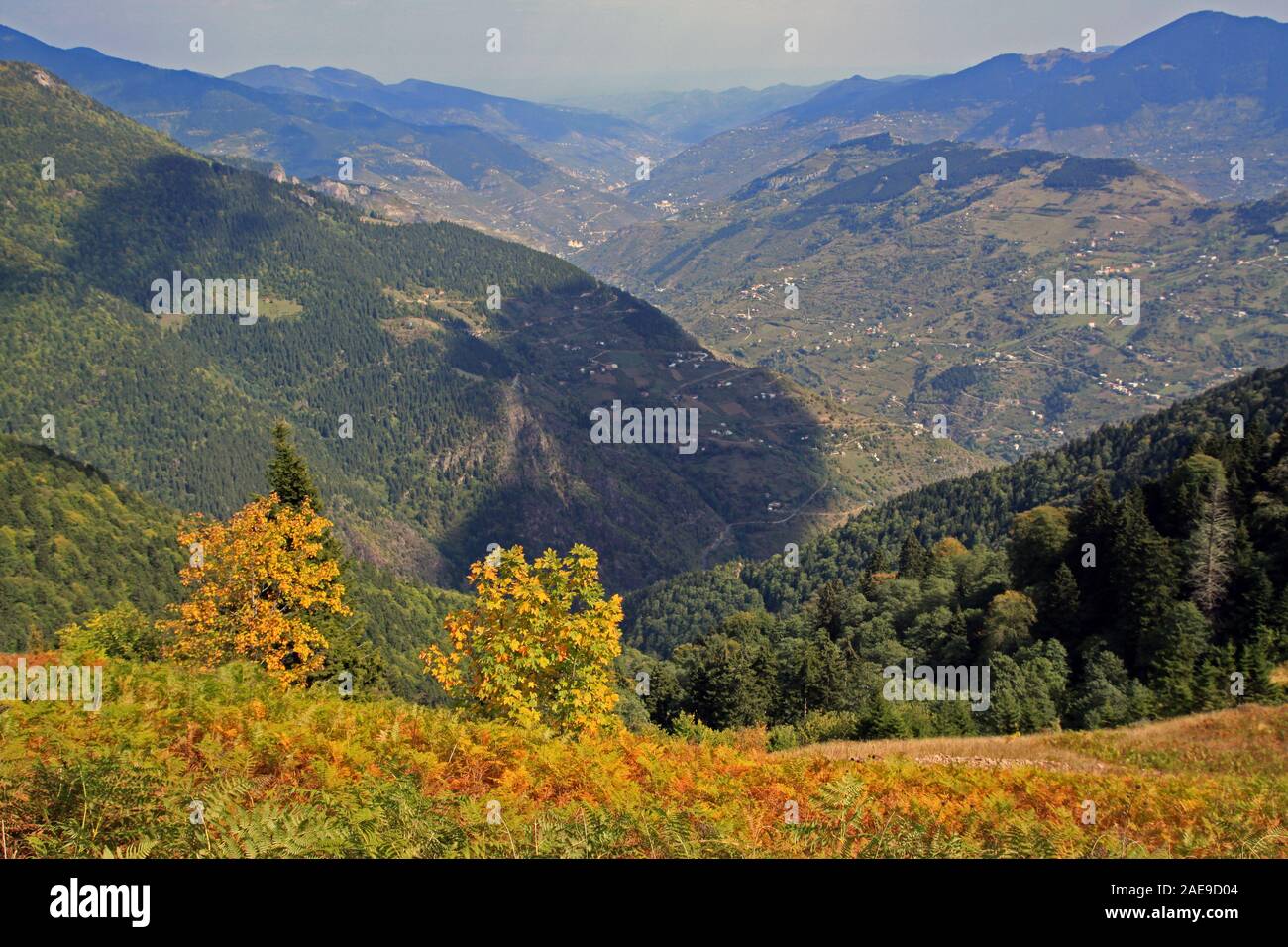 image from the plateaus of Maçka district in Trabzon province Stock ...