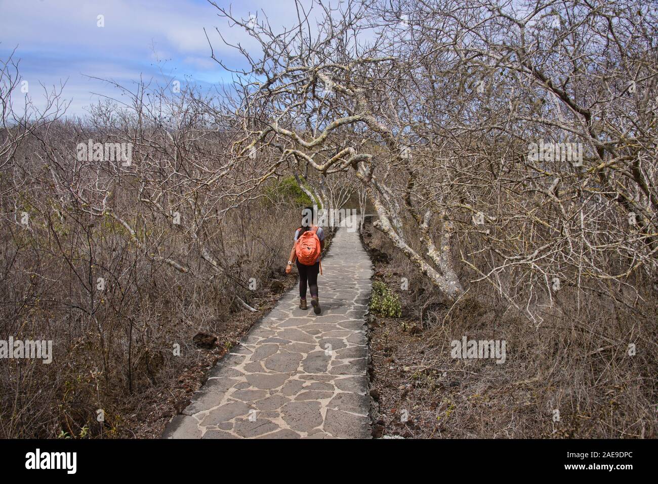 Trekker in Tijeretas Bay, Isla San Cristobal, Galapagos Islands ...