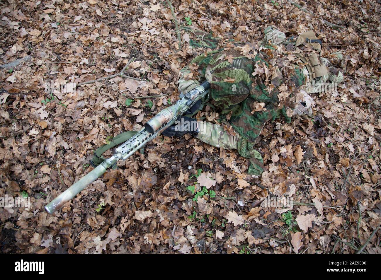 Army sniper hiding on ground in forest leaves Stock Photo - Alamy