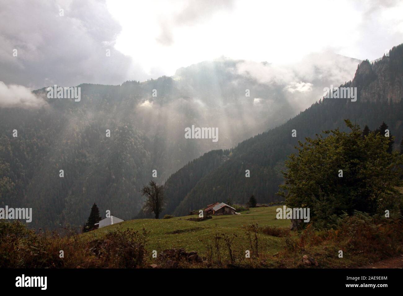 image from the plateaus of Maçka district in Trabzon province Stock ...