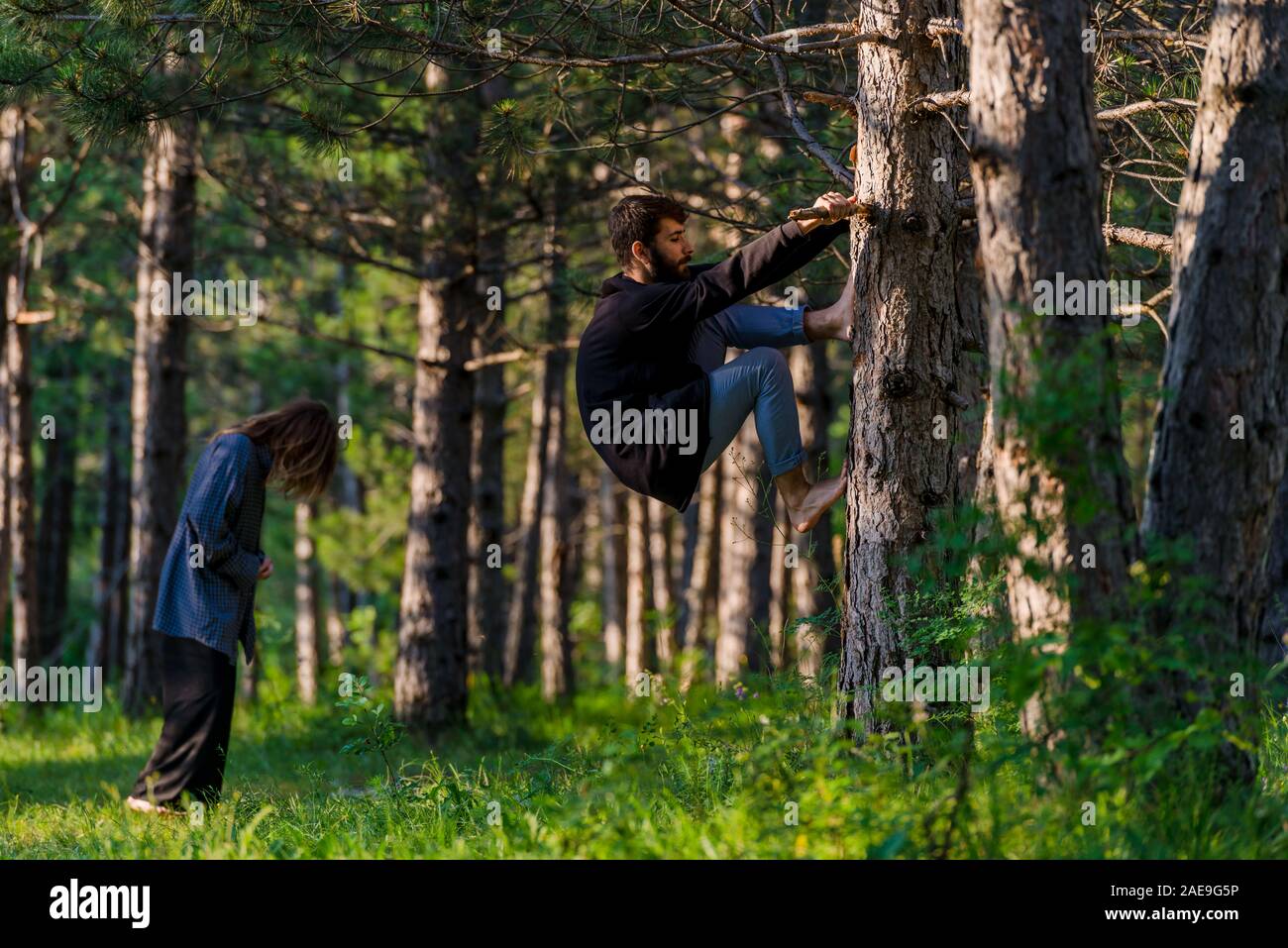 Two friends having fun in the green forest while climbing on a tree ...