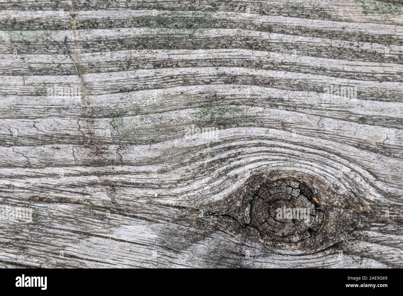 Old gray board with clearly visible wood structure, background for ...