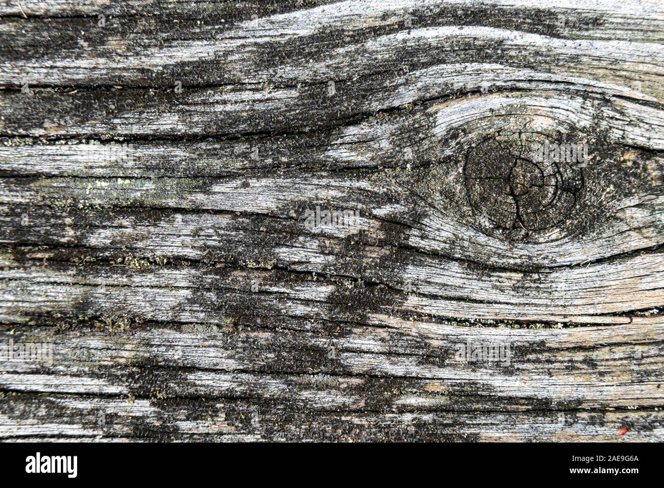 Old gray board with clearly visible wood structure, background for ...