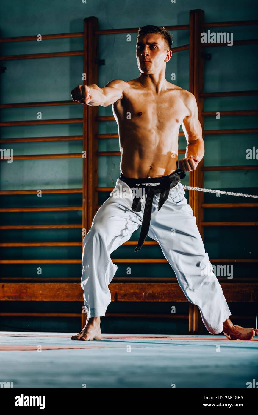 An athlete with a black belt and in karategi performs a formal karate ...
