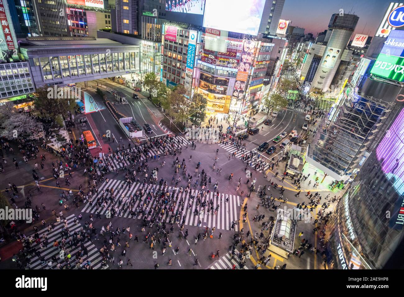 Most famous intersection in the world. Shibuya, Tokyo, Japan, April 2019 Stock Photo - Alamy
