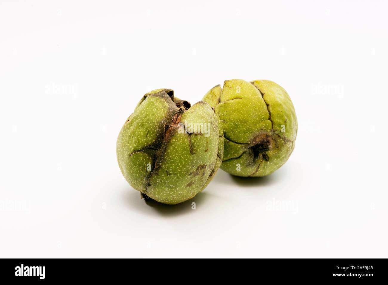 Food nuts wallnut walnut wallnuts hi-res stock photography and images ...