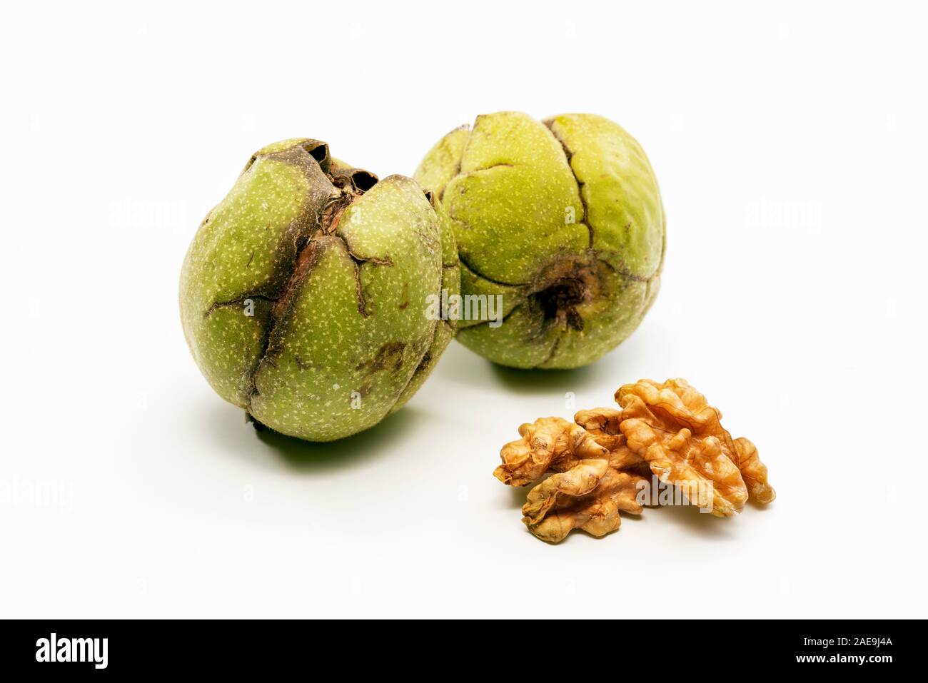 Food nuts wallnut walnut wallnuts hi-res stock photography and images ...