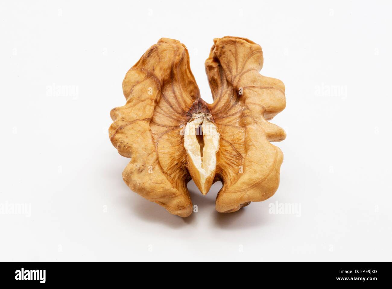 One peeled walnut on a white background Stock Photo - Alamy