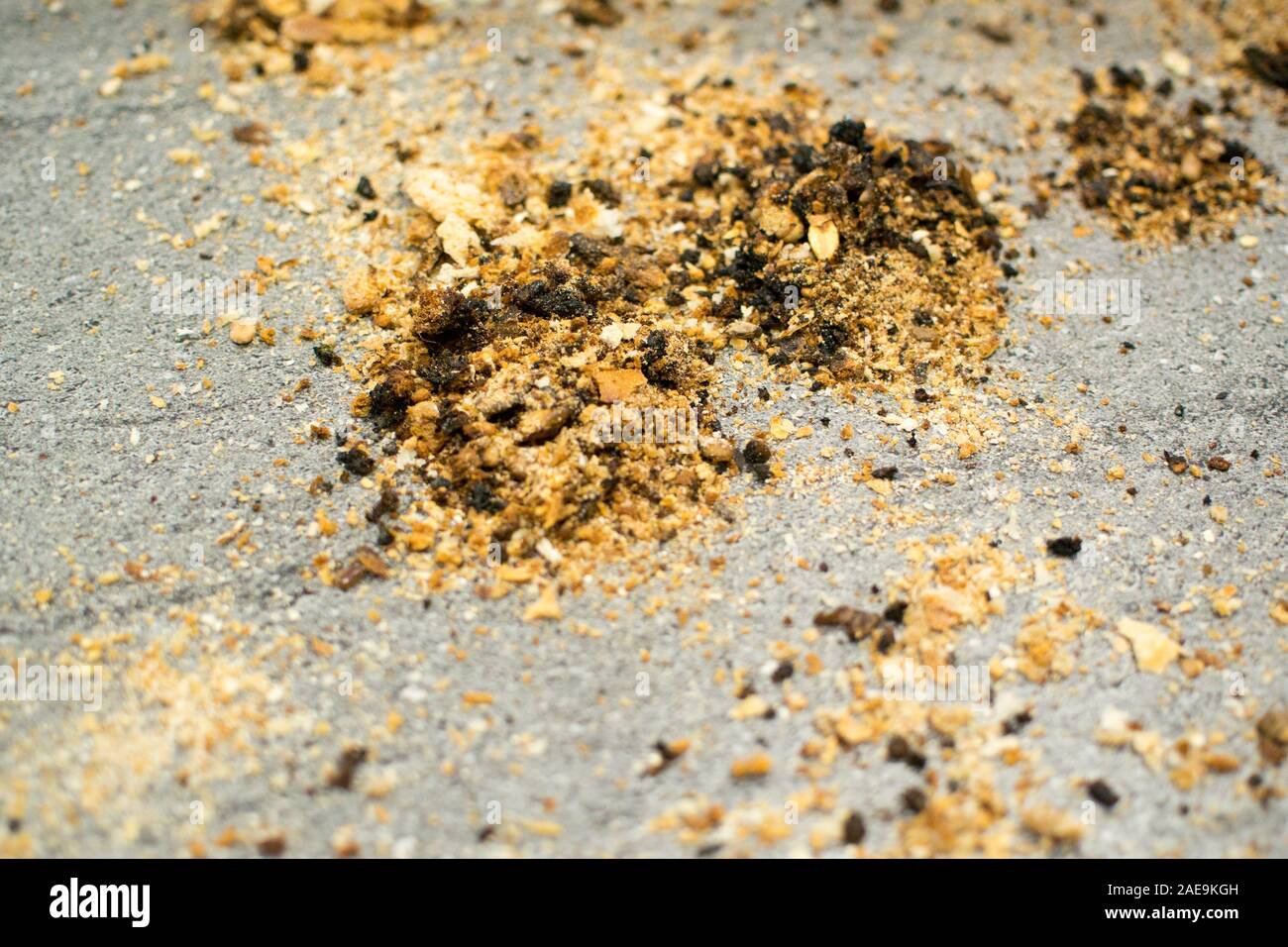 Toast crumbs on counter hi-res stock photography and images - Alamy