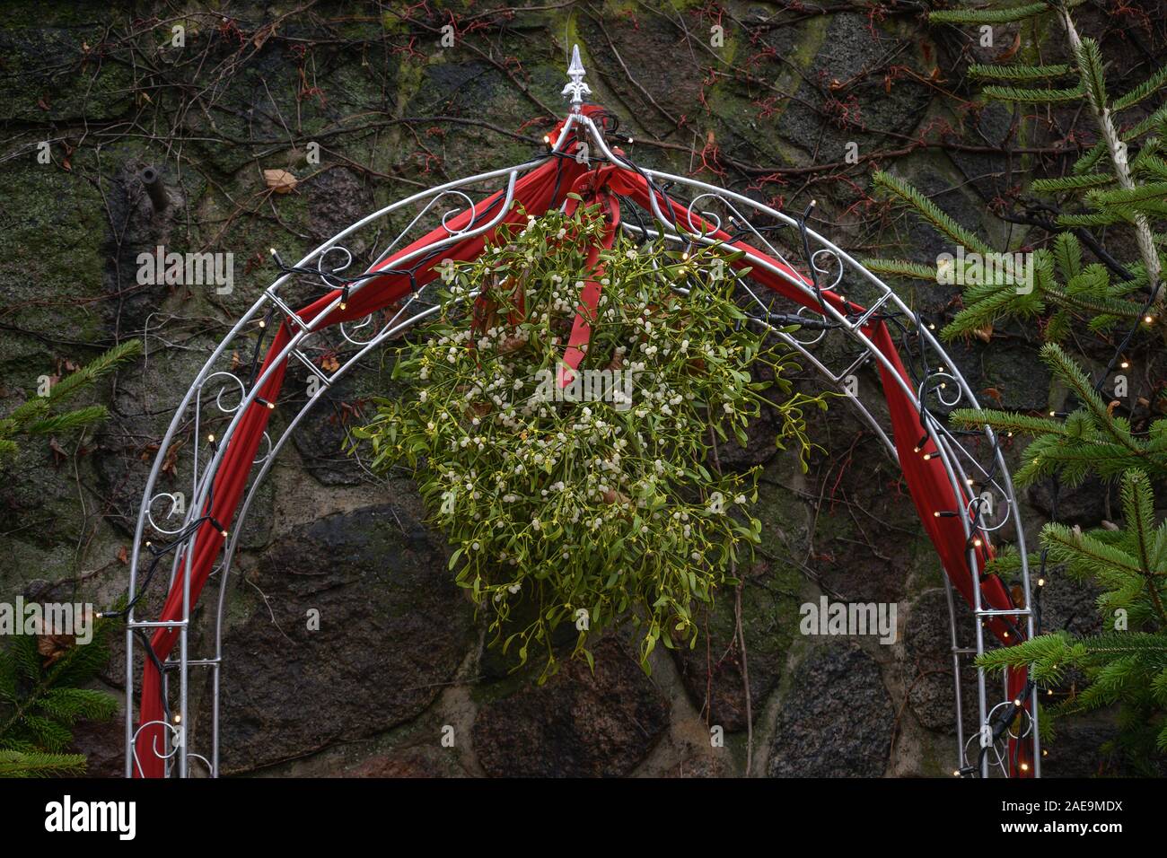 Kissing under the mistletoe hi-res stock photography and images - Alamy