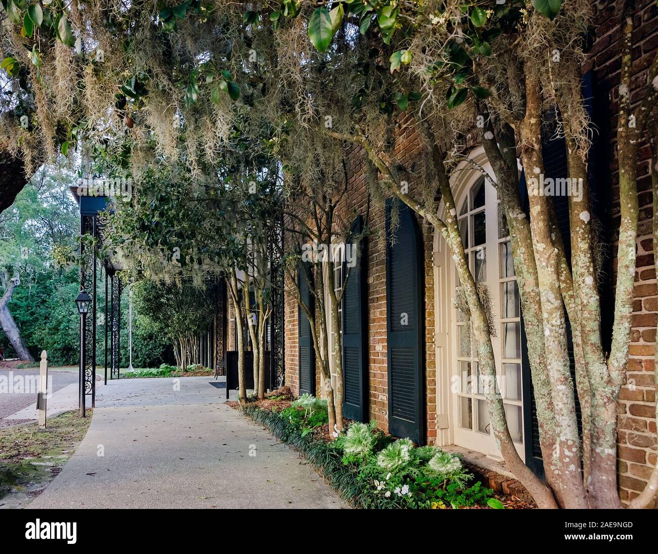 Shade gardens hi-res stock photography and images - Alamy