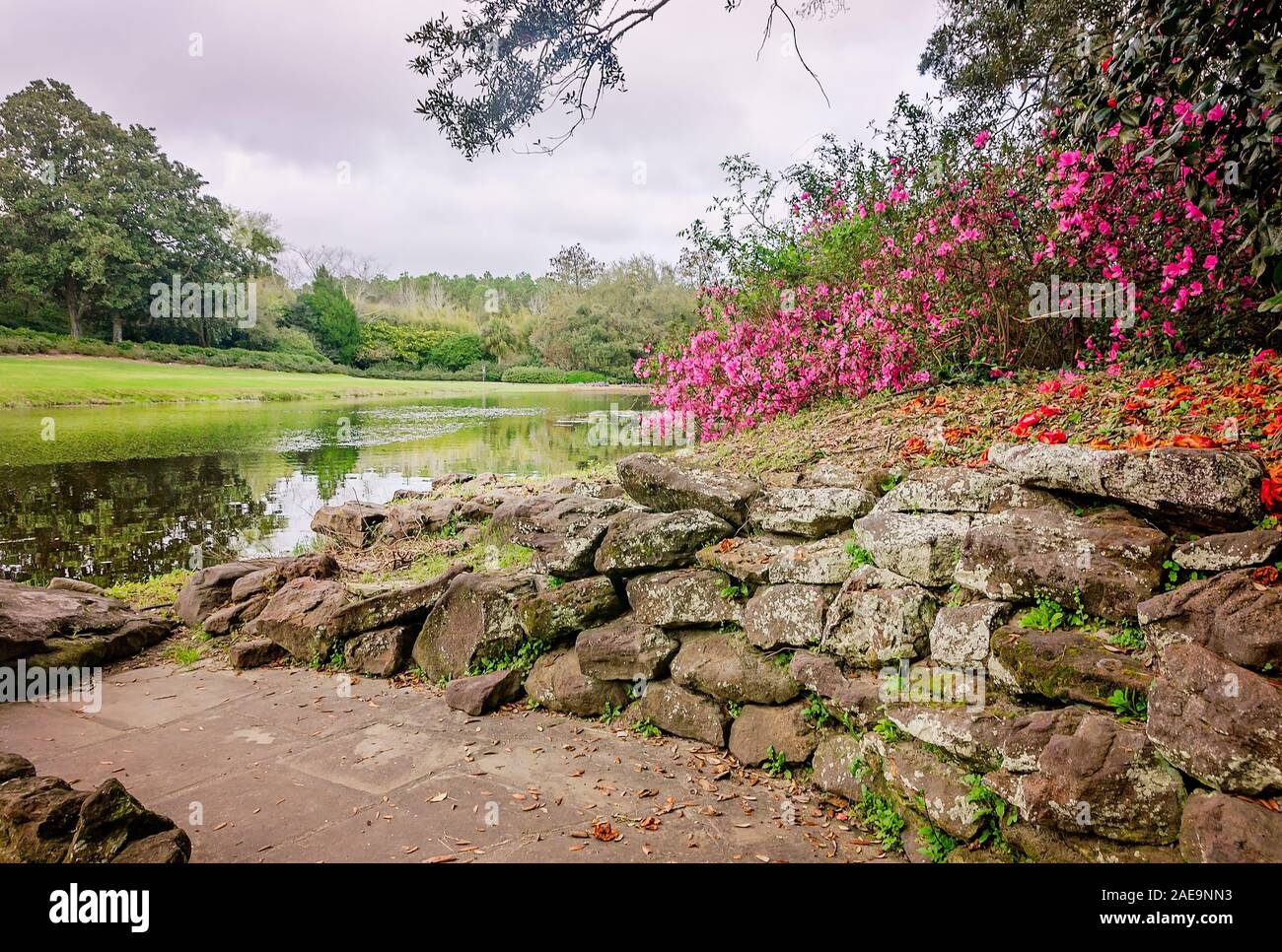 Azalea lake hi-res stock photography and images - Alamy