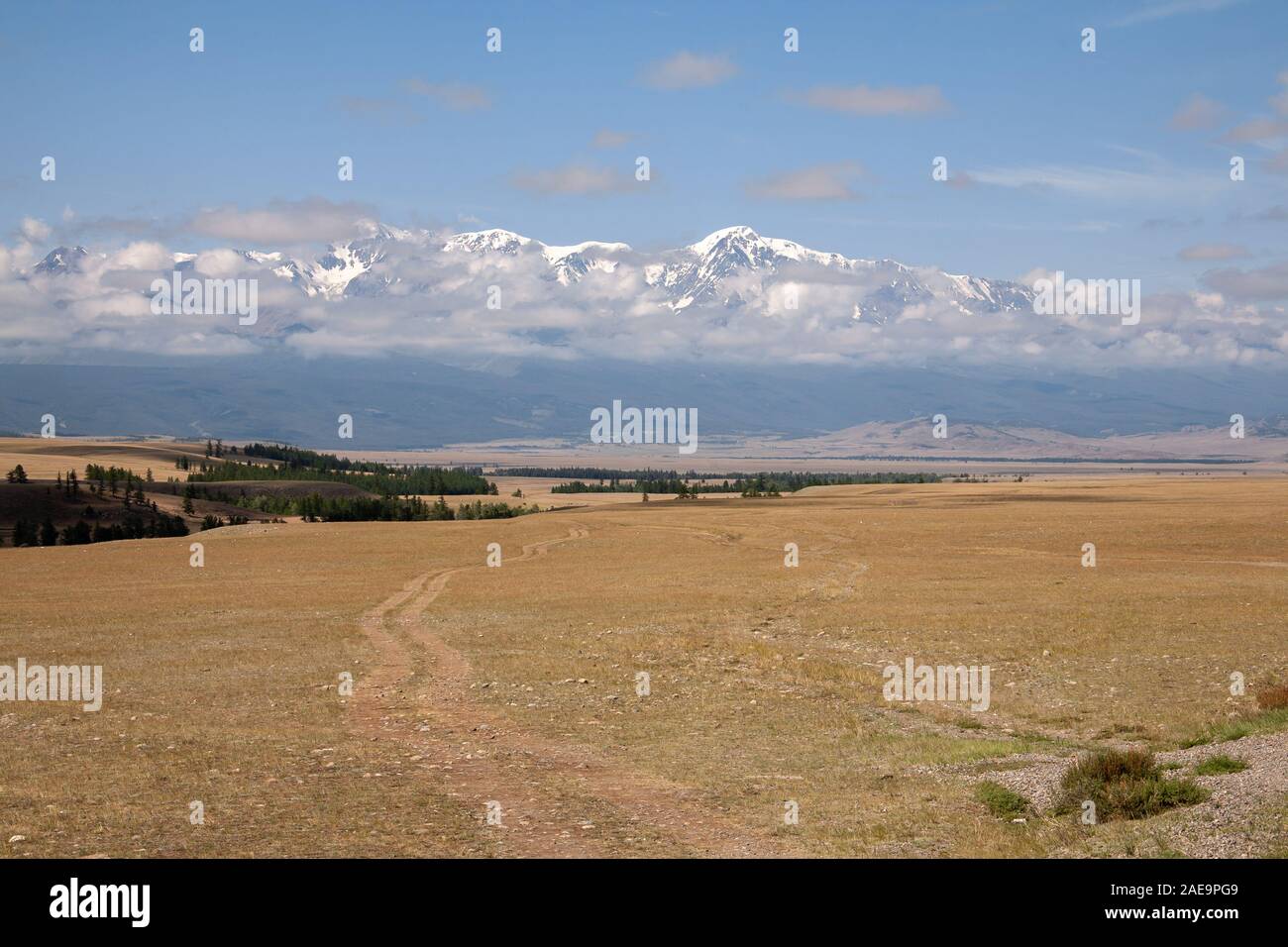 altai canyon steppe and mountains at background Stock Photo - Alamy