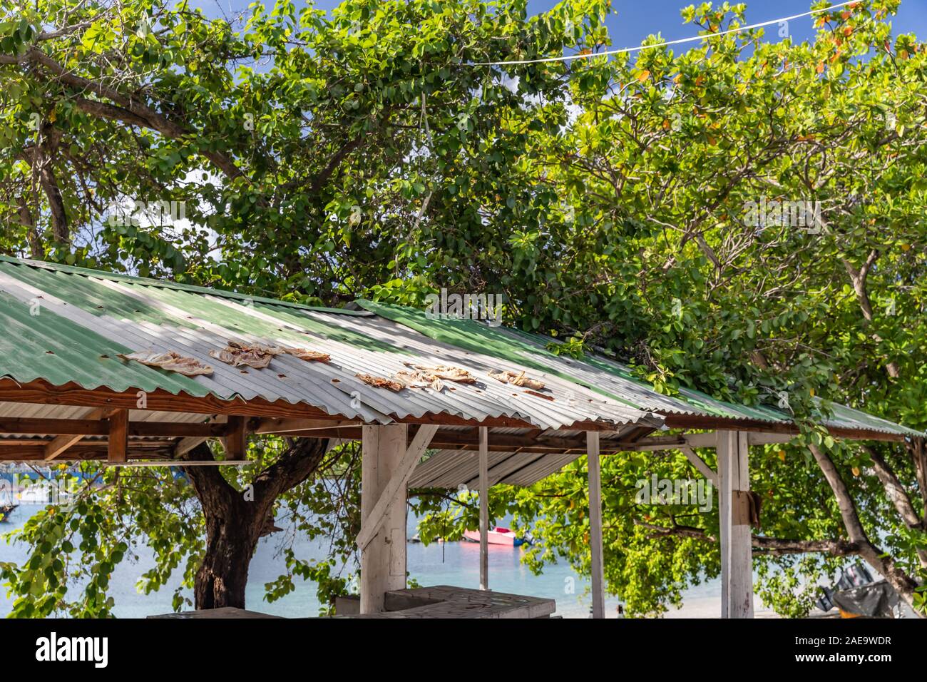 Bus stop fish island hi-res stock photography and images - Alamy