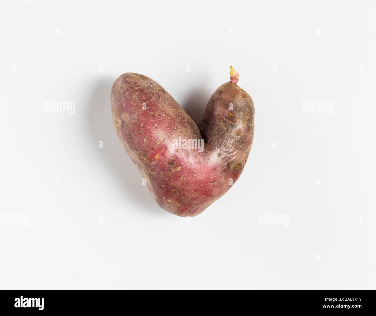 Strange shaped potatoes hi-res stock photography and images - Alamy