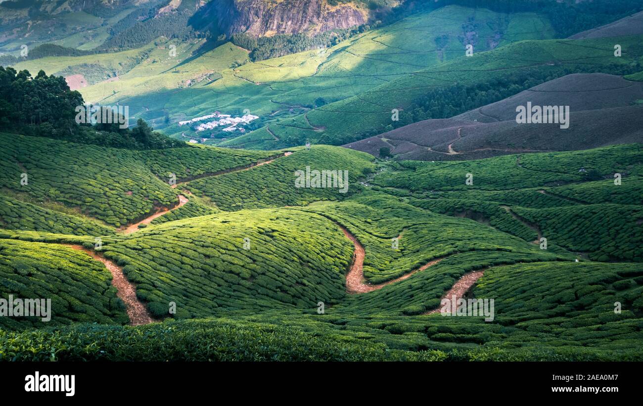 Munnar travel hi-res stock photography and images - Alamy