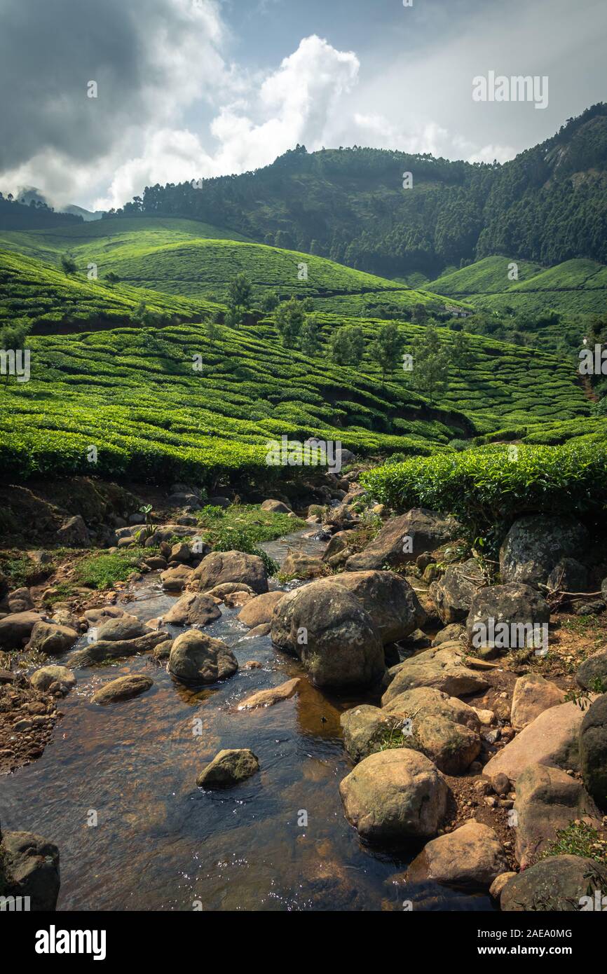 South india kerala hi-res stock photography and images - Alamy